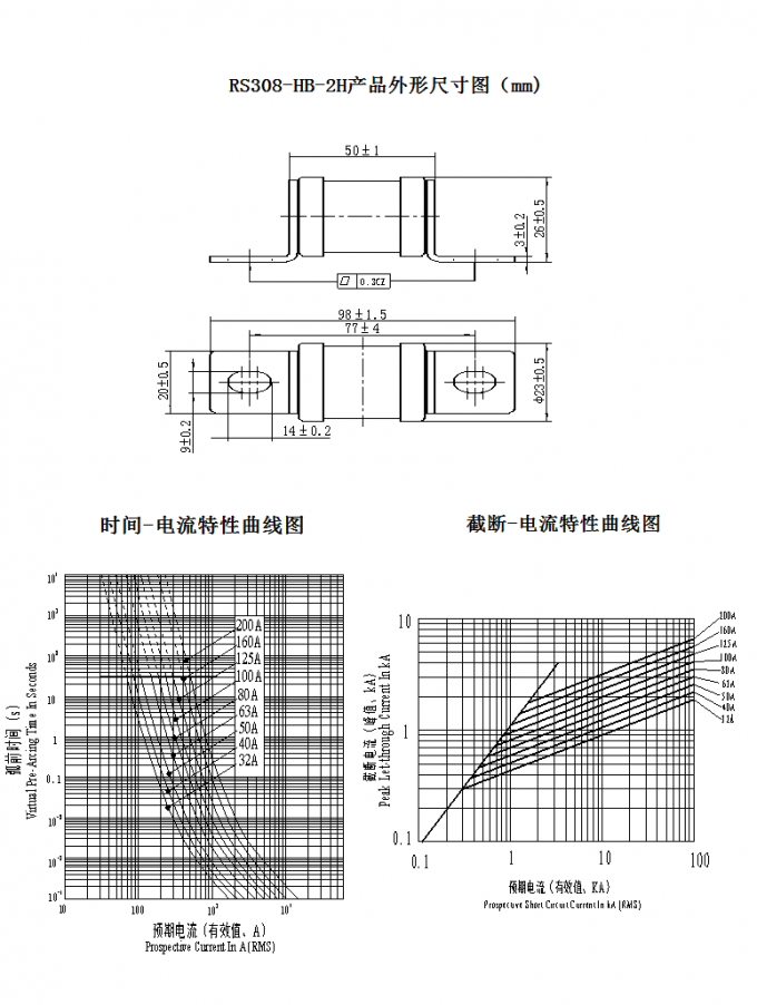 Bolt Connection Fast Ceramic Auto Fuses RS308-HB 690V Series