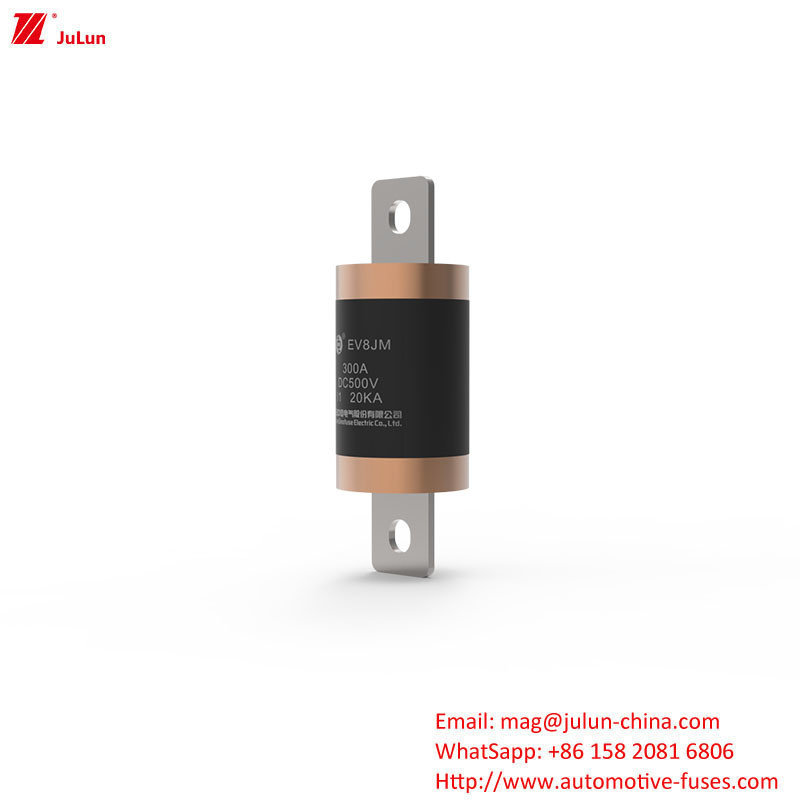Electric Vehicle Fuses For Road Vehicles In Carton Boxes