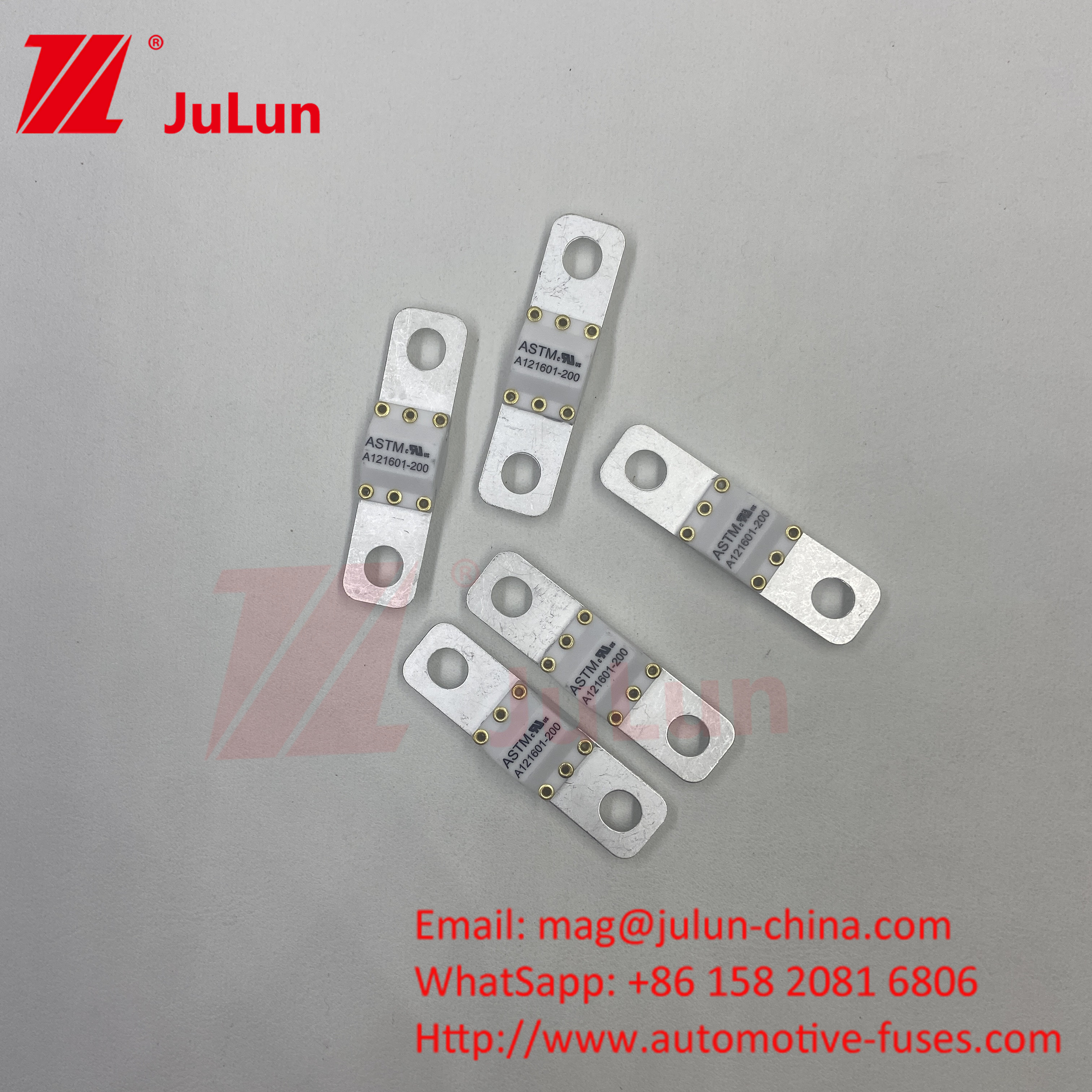 ASTM FUSE 121601 80A 125VDC Electric Car Fuse