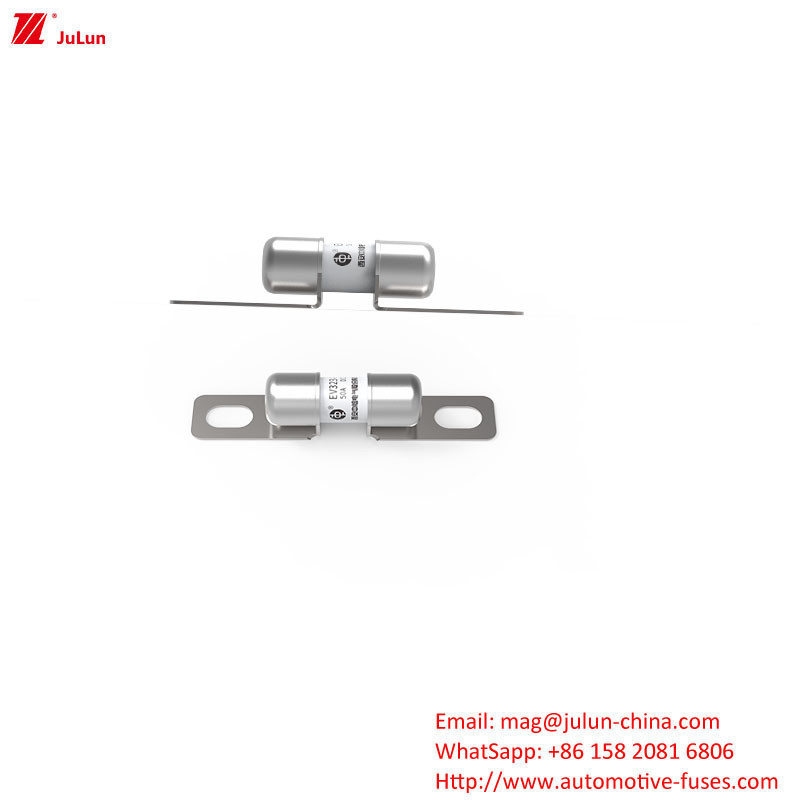 50A DC250V Portable Electric Vehicle Charger Fuse With Medium Fusing