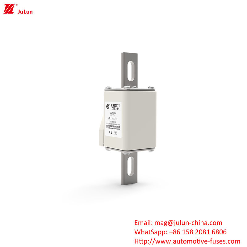 160A-550A DC1000V Electric Vehicle Fuse RSZ307-1-Q5Z Terminal Type Bolt-on Fuses