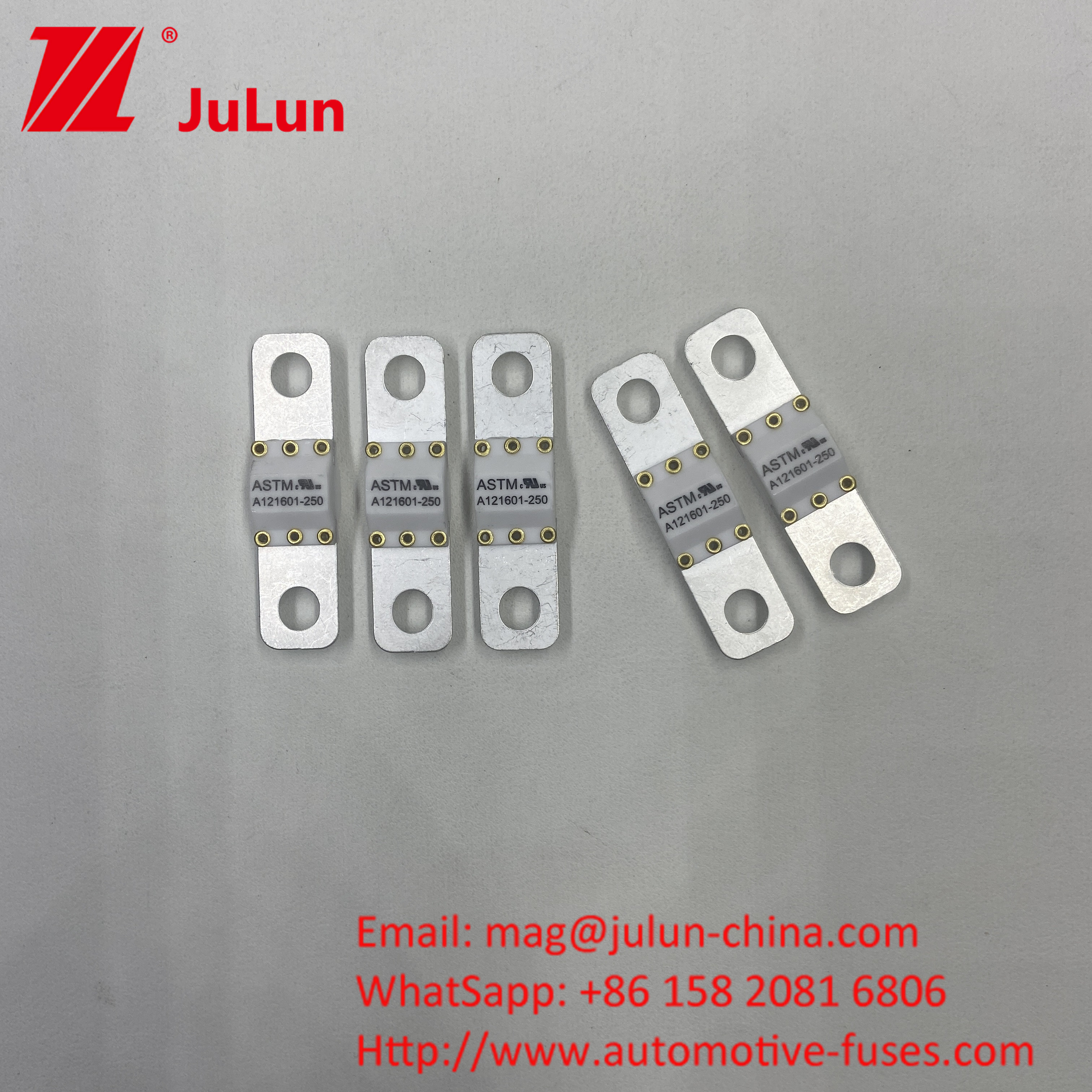 A121601-250A Screw M6/M8 Mount Electric Vehicle Fuse for Automobile Navigation Current Protection