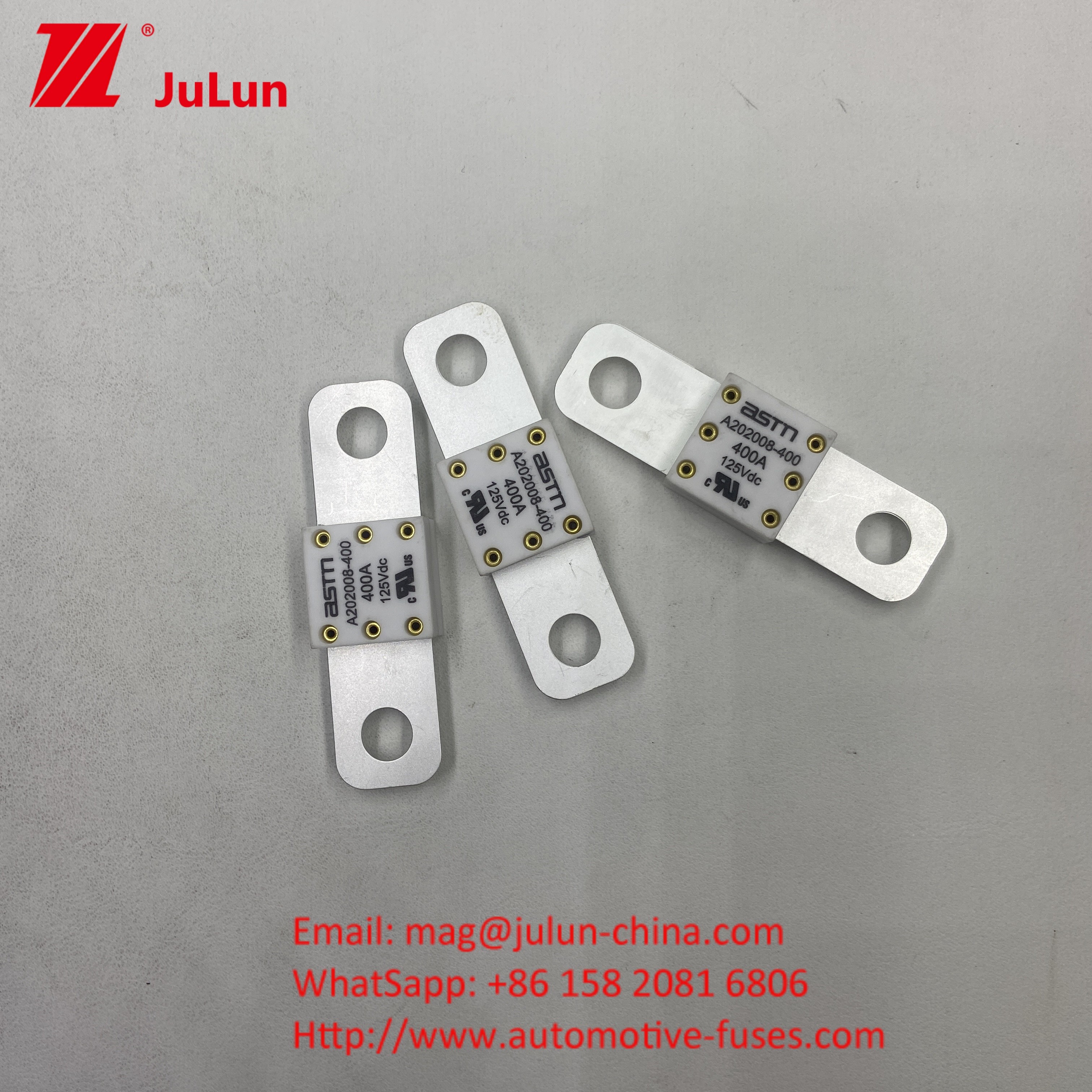 Ceramic Car Fuses With Screw Bolt Mounting Method A202008 100A 125VDC ASTM