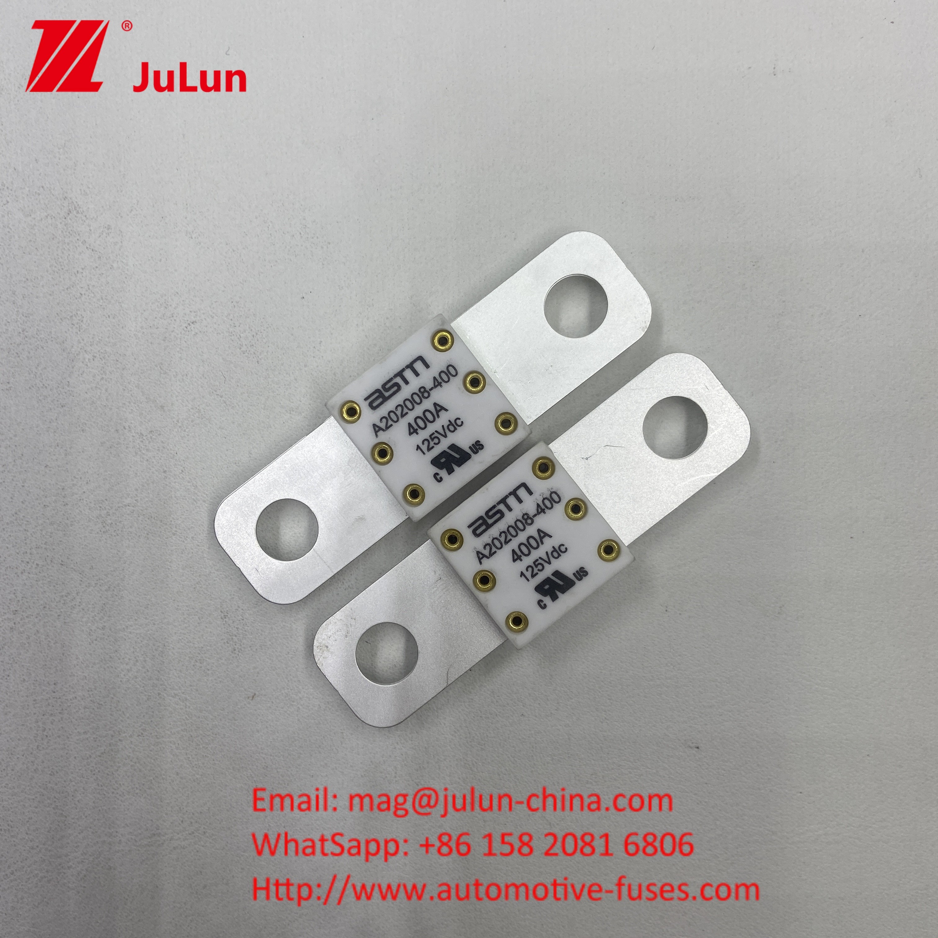 EV Car Battery Fuse A202008 200A 125VDC For Car Automotive