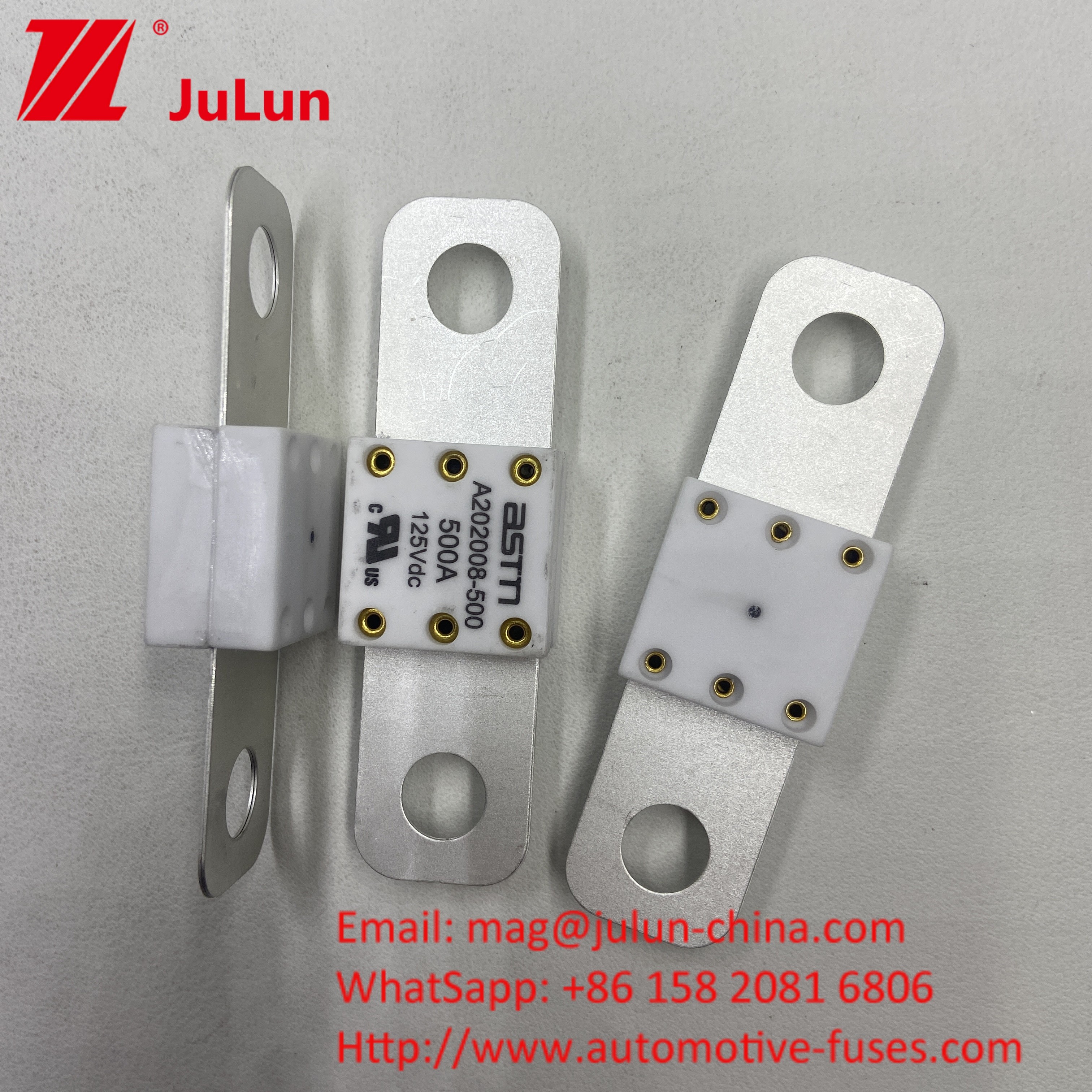 500A Auto A202008 125VDC Portable EV Charger Fuse 100A 125A 150A 200A 250A 300A 400A 500A
